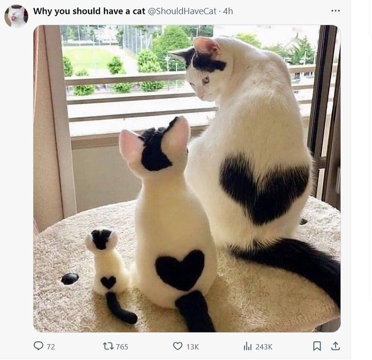 Engagement Farming: Definition, Examples, and Tips to Avoid It